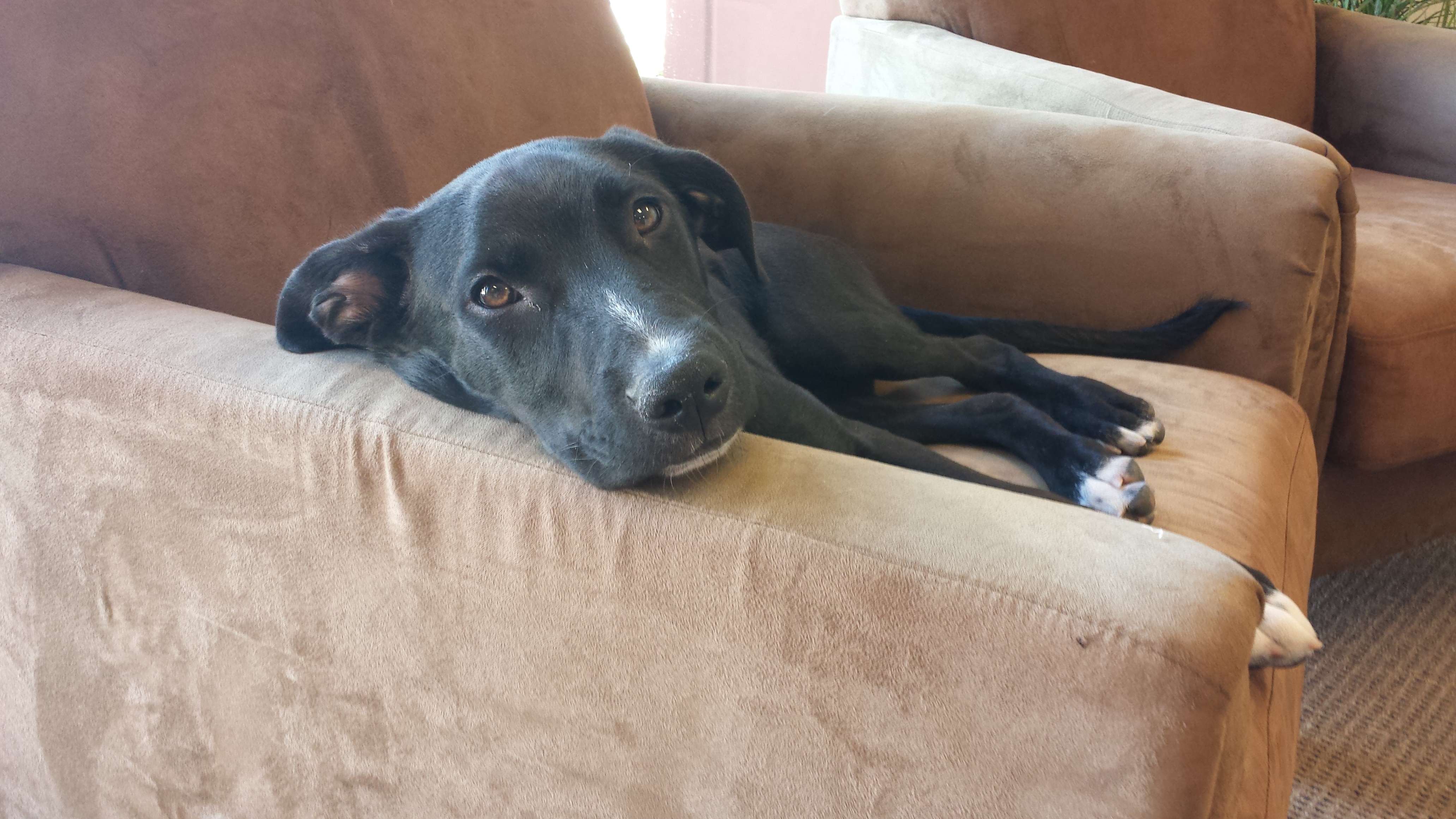 TSCS Difference - Top Speed Computer Services